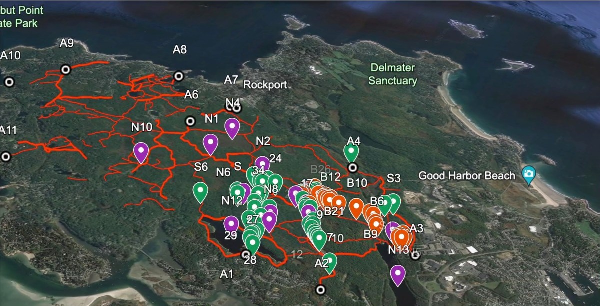 Discover Dogtown – The First Digital Map of Dogtown – markcarlotto.com